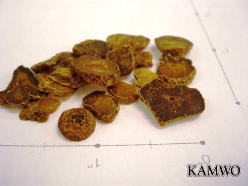 Yan Hu Suo and Cordyalis: Benefits, Uses & Research | Health Inisghts